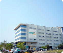 Best Cancer Hospital in Hyderabad | Cancer Doctor | Omega ...