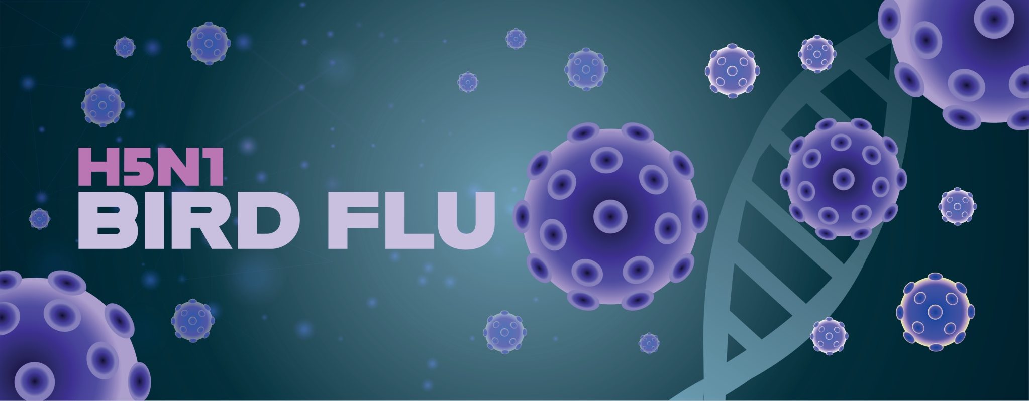 Bird Flu (Avian Influenza): Causes, Symptoms and Prevention