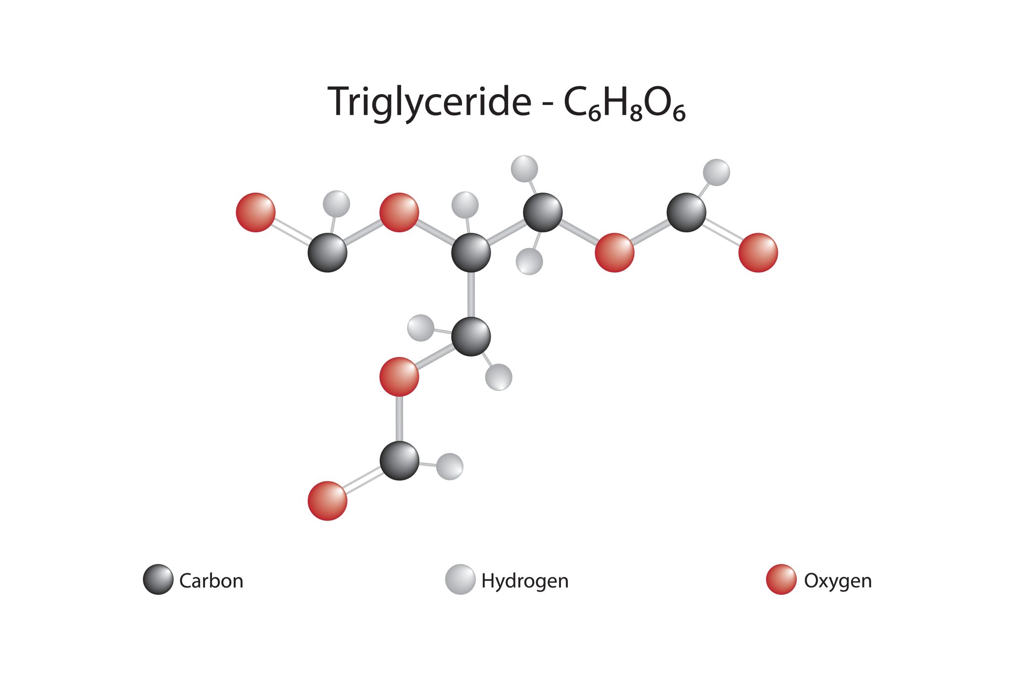 Triglycerides & Heart Health: Best Ways to Keep Them in Check
