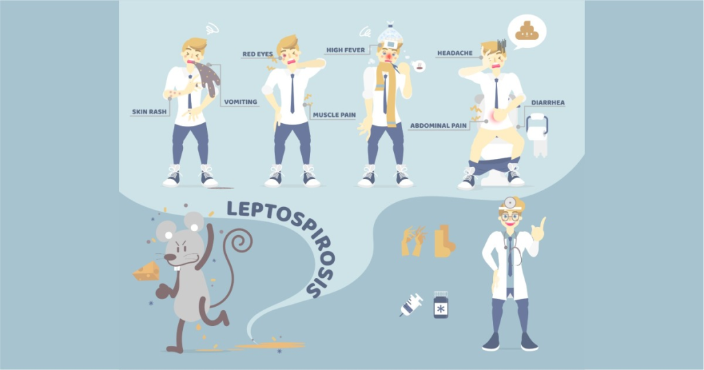 Leptospirosis: Causes, Symptoms, Treatment, and Prevention Explained ...